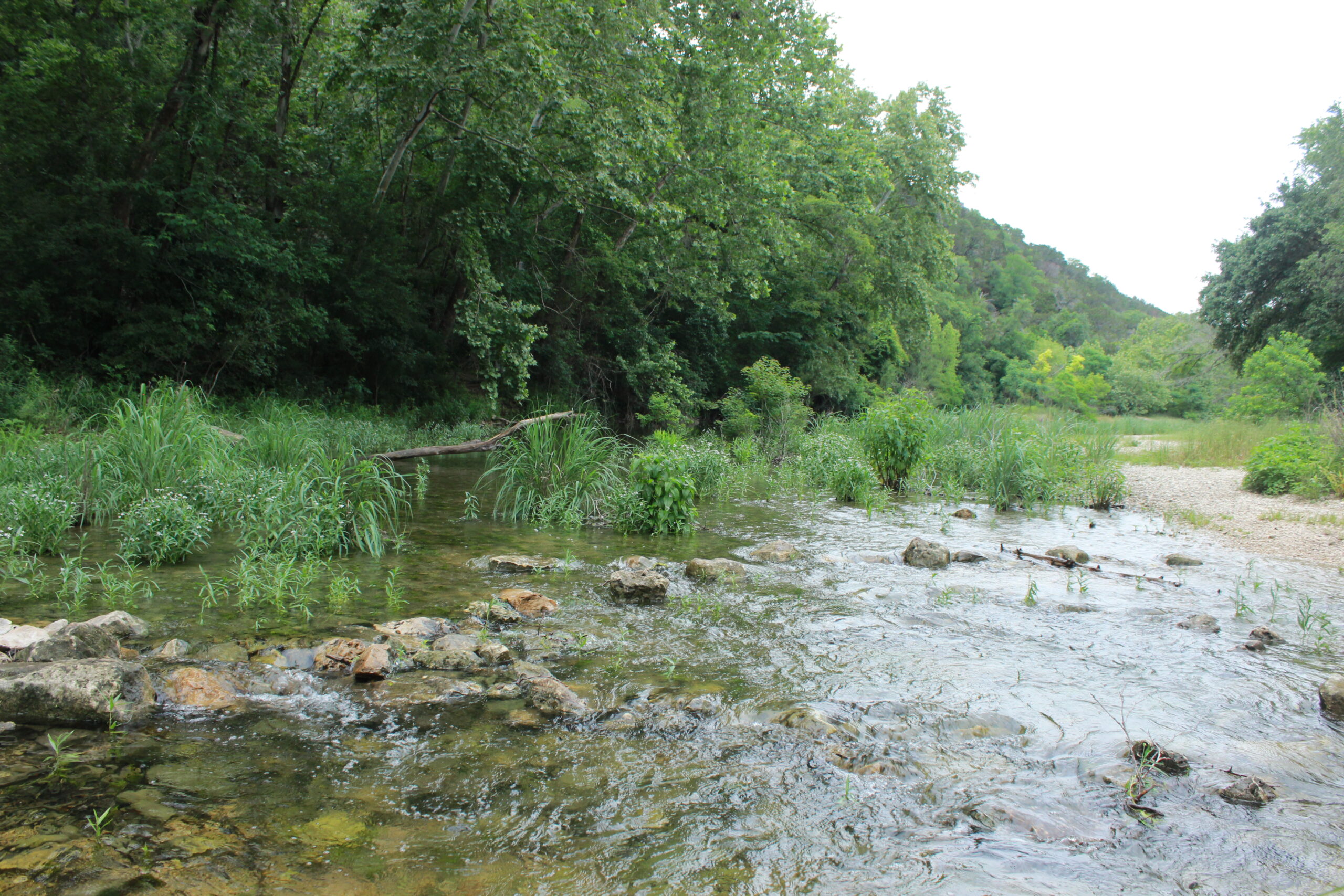 District Maps - Barton Springs-Edwards Aquifer Conservation District