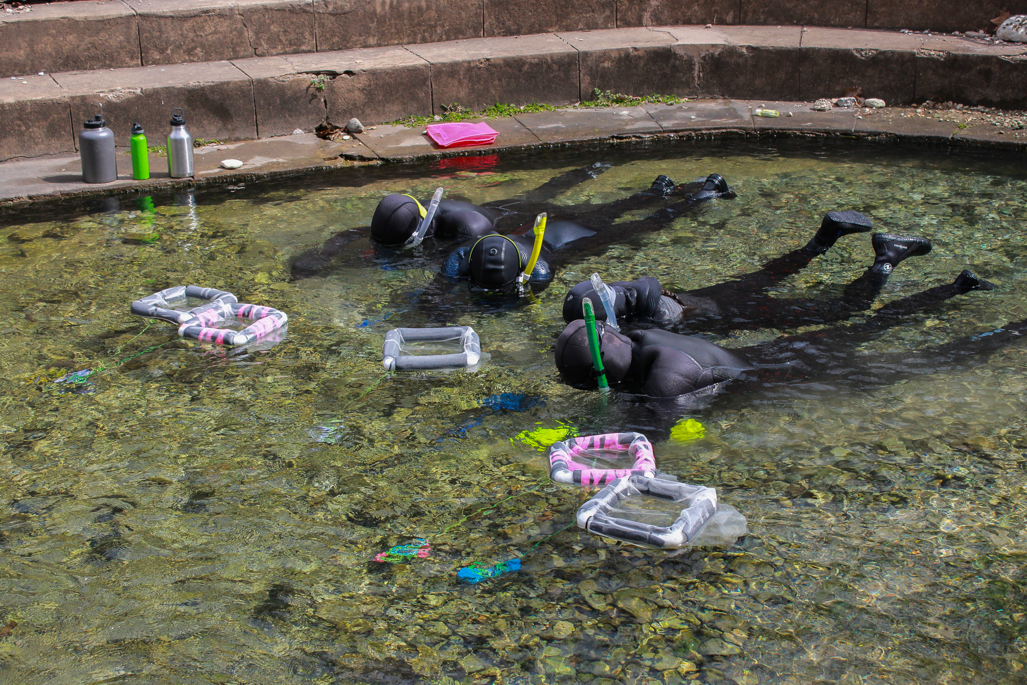 Protecting Springflow and Salamanders - Barton Springs-Edwards Aquifer ...